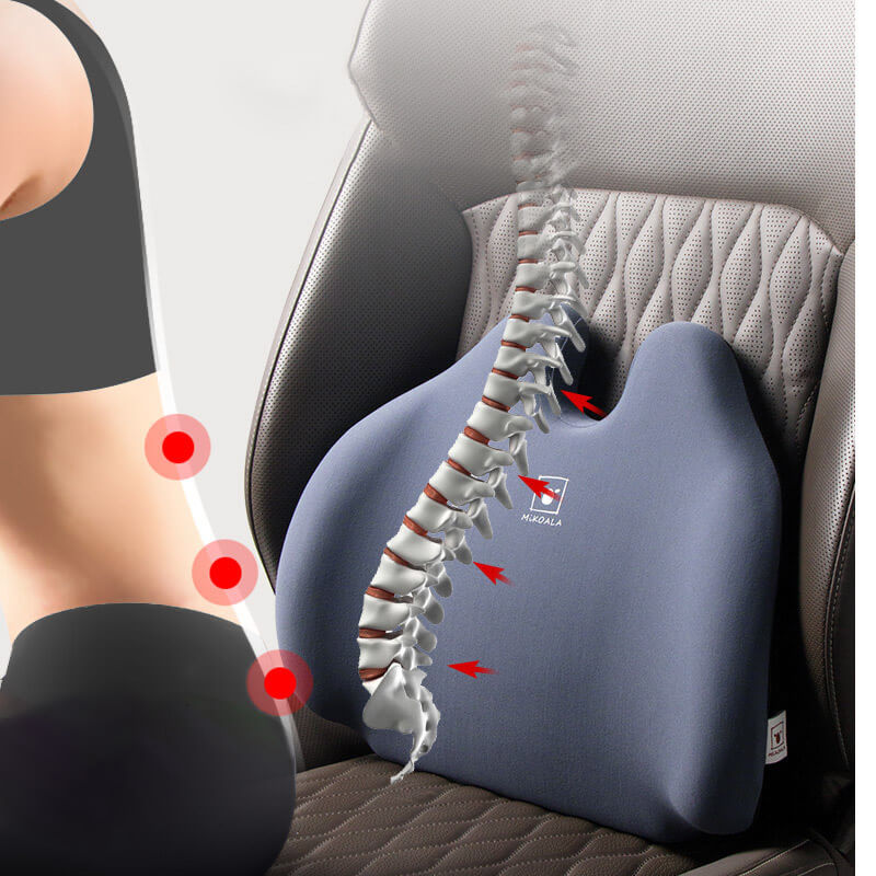 Lumbar Support Pillow for Car and Chair, Ergonomic Lumbar Support ...